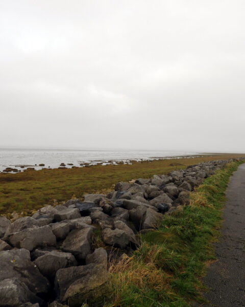 Pilling Village & Pilling Sands | Things to Do | Moss Wood