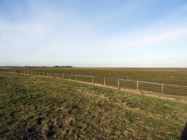 Pilling Village & Pilling Sands | Things to Do | Moss Wood